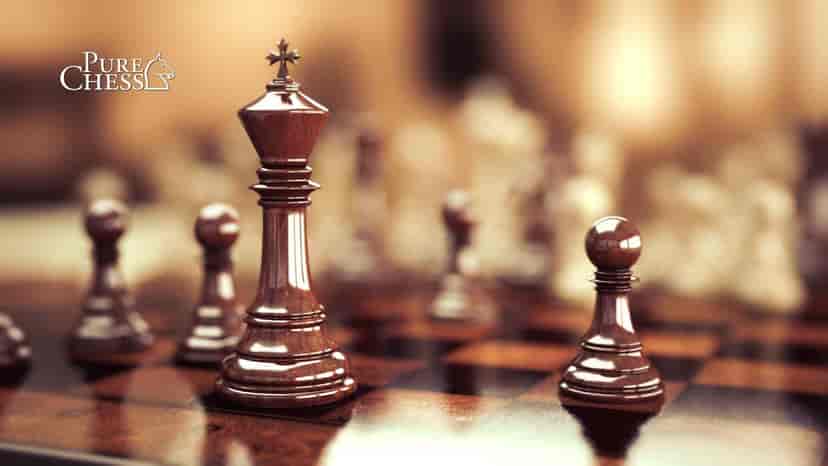 Купить Pure Chess Grandmaster Edition — ключ Steam на ПК от 713₽ | IGM.GG